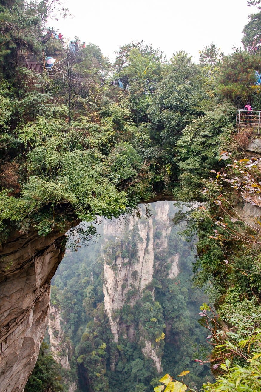 Wulingyuan Avatar Forest